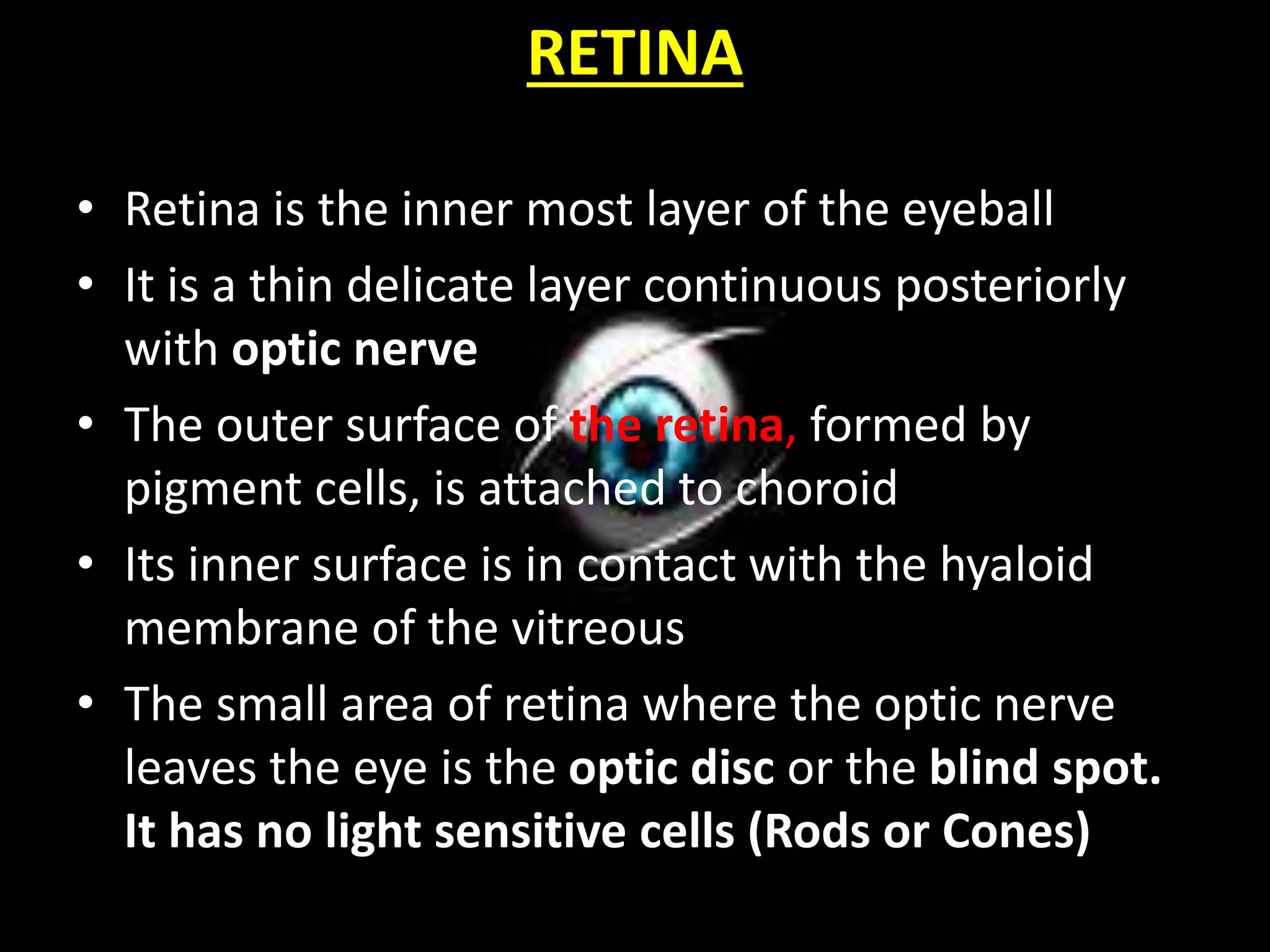 Anatomy of eye ppt | PPTX