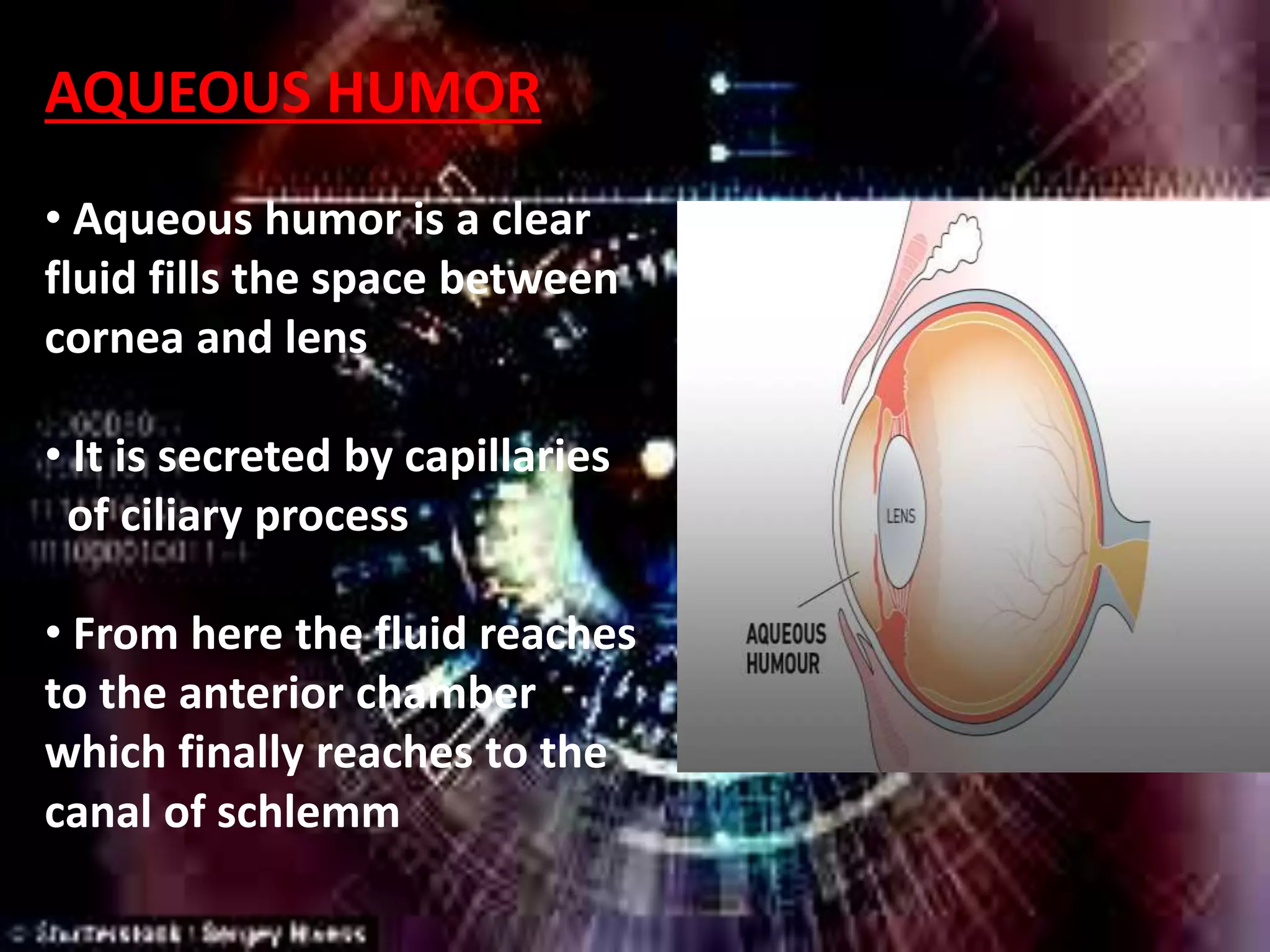 Anatomy of eye ppt | PPTX