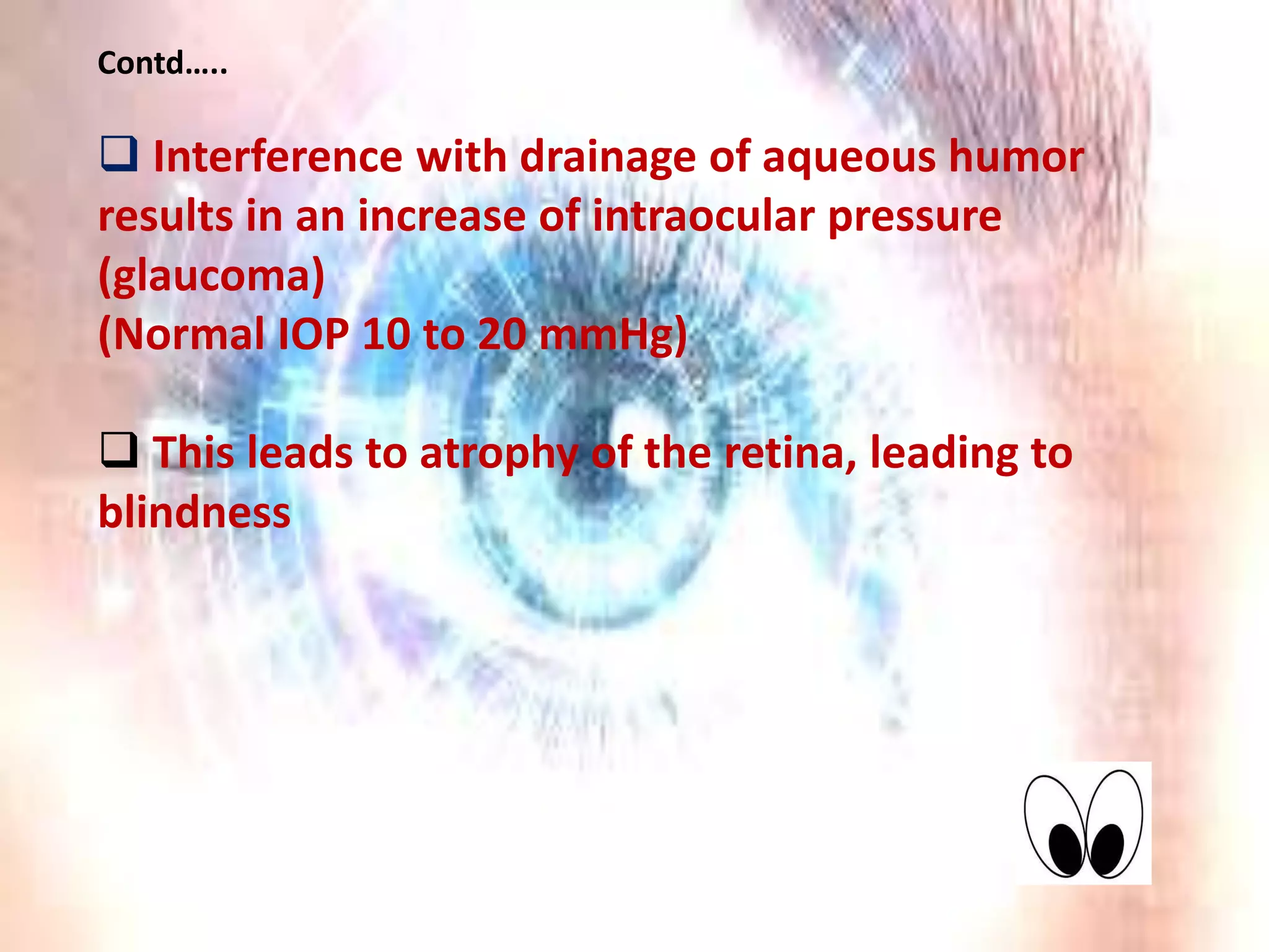 Anatomy of eye ppt | PPTX