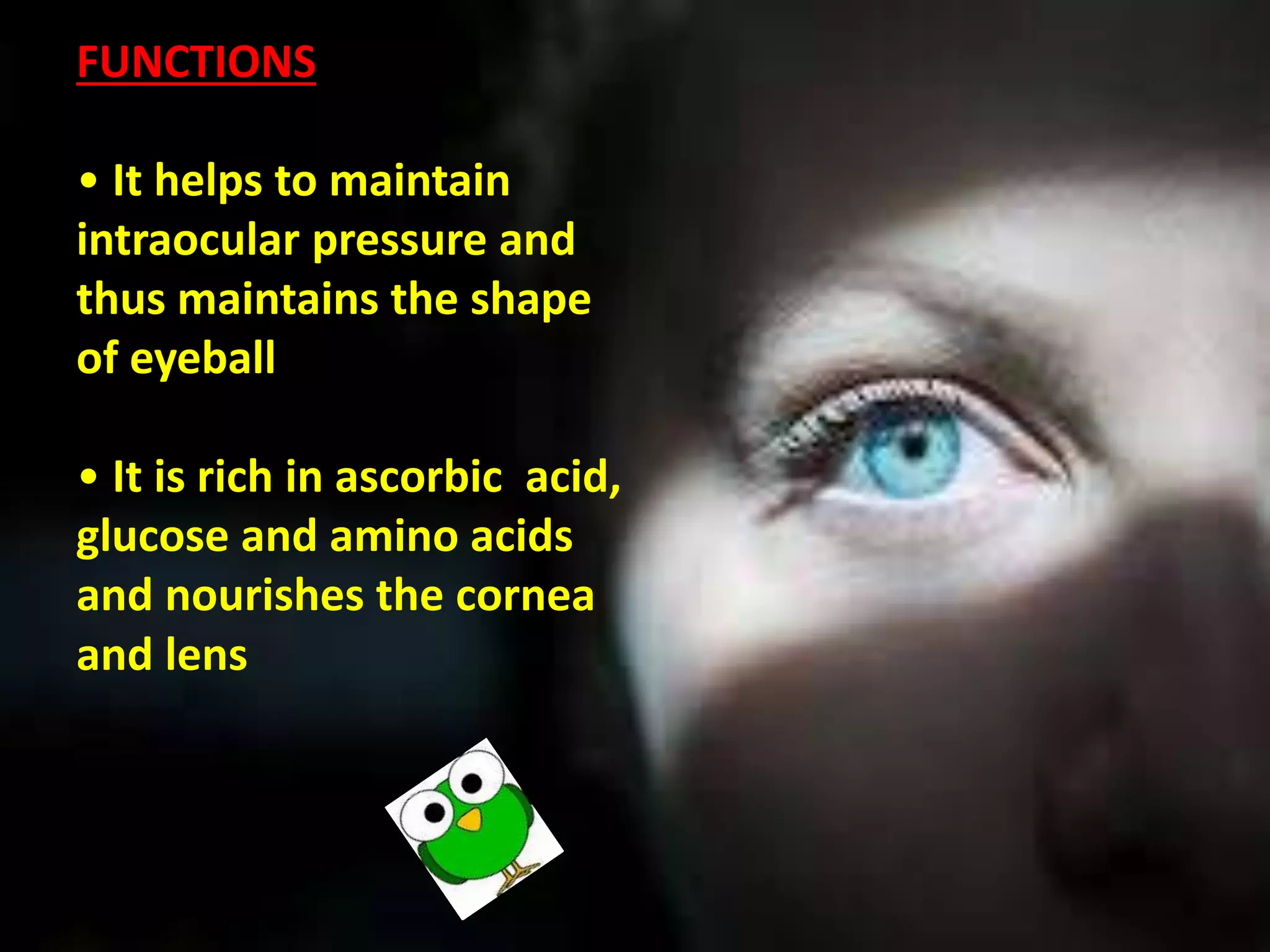 Anatomy of eye ppt | PPTX