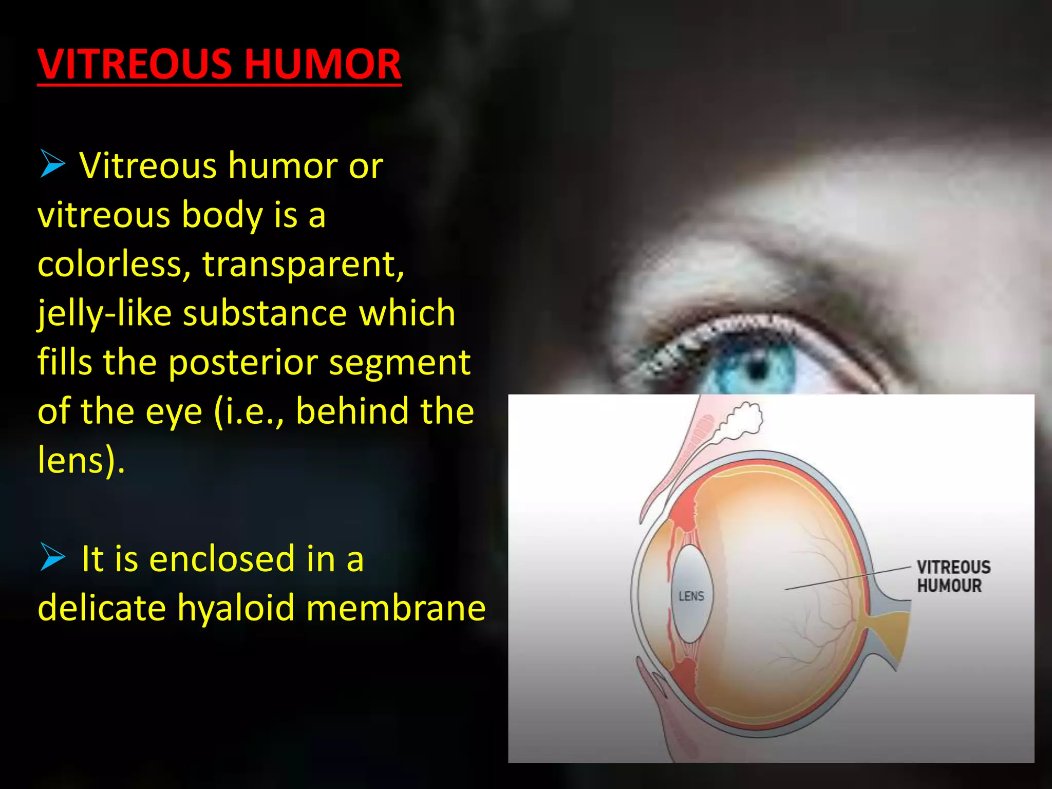 Anatomy of eye ppt | PPTX