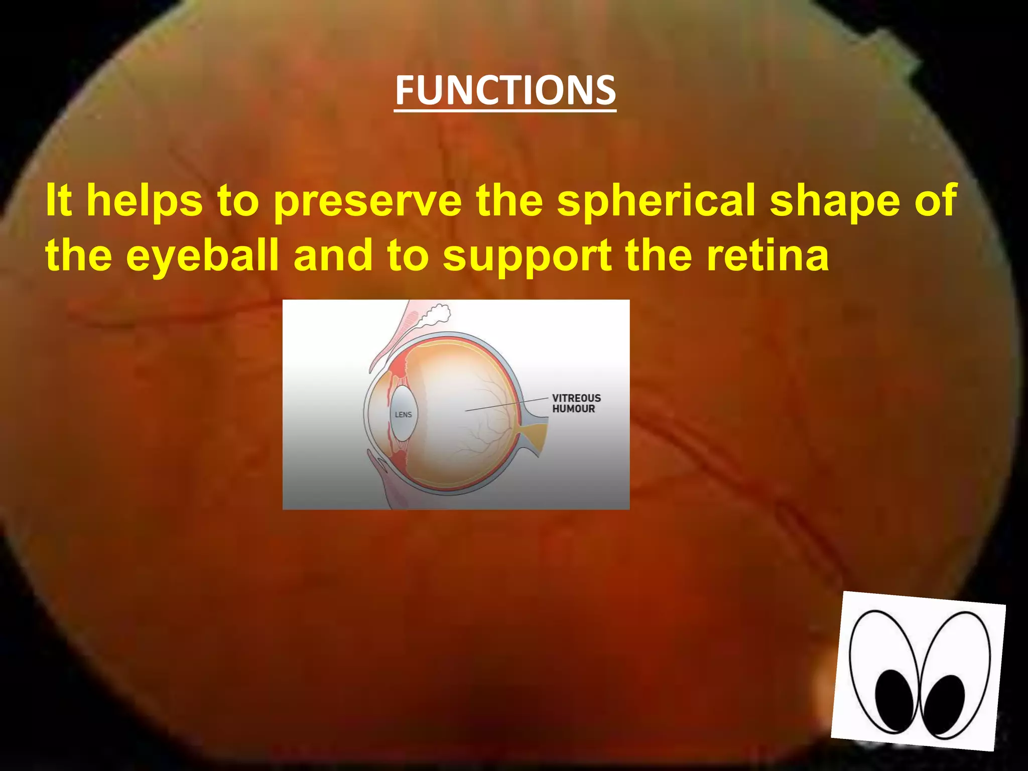 Anatomy of eye ppt | PPTX