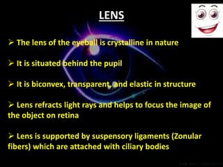 Anatomy of eye ppt | PPTX