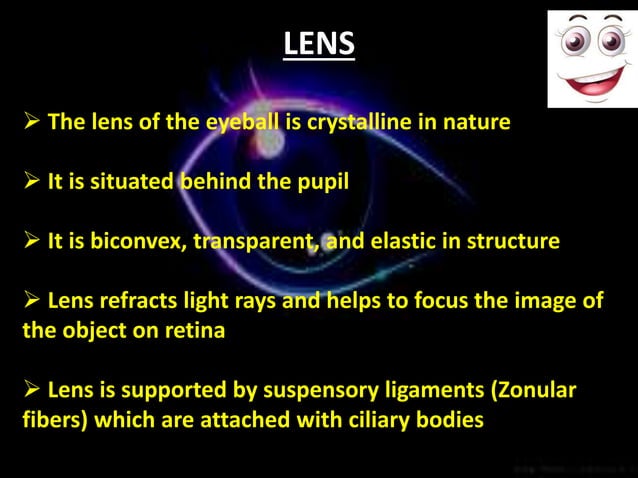 Anatomy of eye ppt | PPTX | Eye and Vision Conditions | Diseases and ...