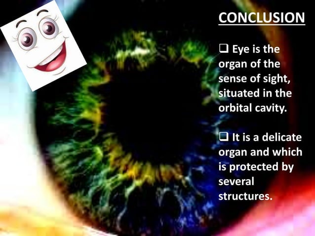 Anatomy of eye ppt | PPTX | Eye and Vision Conditions | Diseases and ...