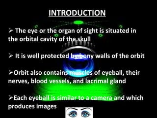 Anatomy of eye ppt | PPTX
