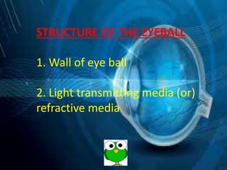 Anatomy of eye ppt | PPTX
