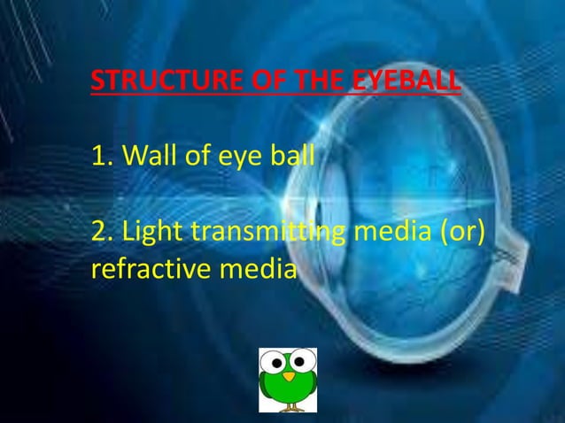 Anatomy of eye ppt | PPTX | Eye and Vision Conditions | Diseases and Conditions
