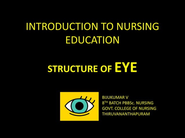 Ppt External Anatomy Of The Eye Powerpoint Presentation Free