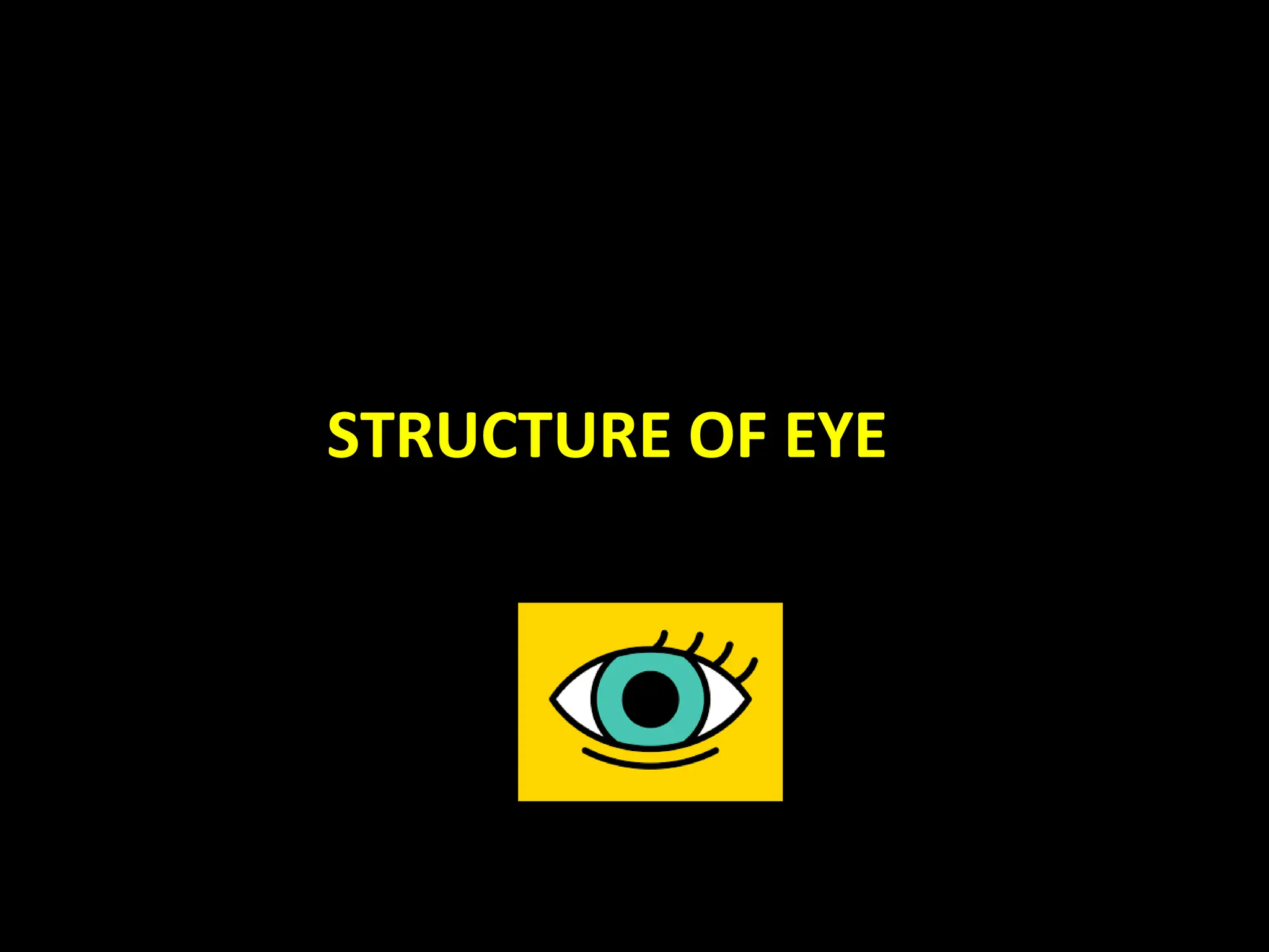 structure of eye | PPTX