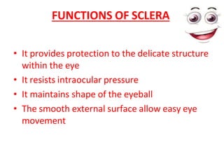structure of eye | PPTX
