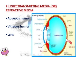 structure of eye | PPTX