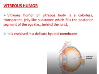 structure of eye | PPTX