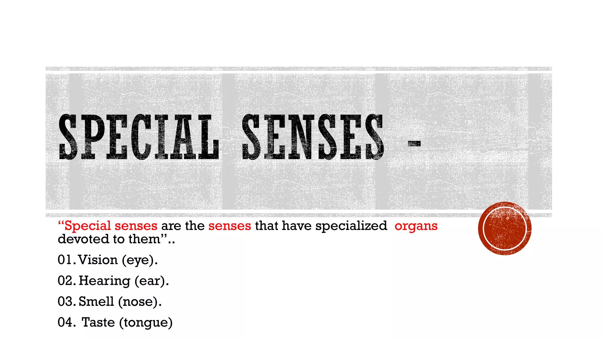 Structure of Eyes - Special Senses_ Human Anatomy & Physiology 1st ...