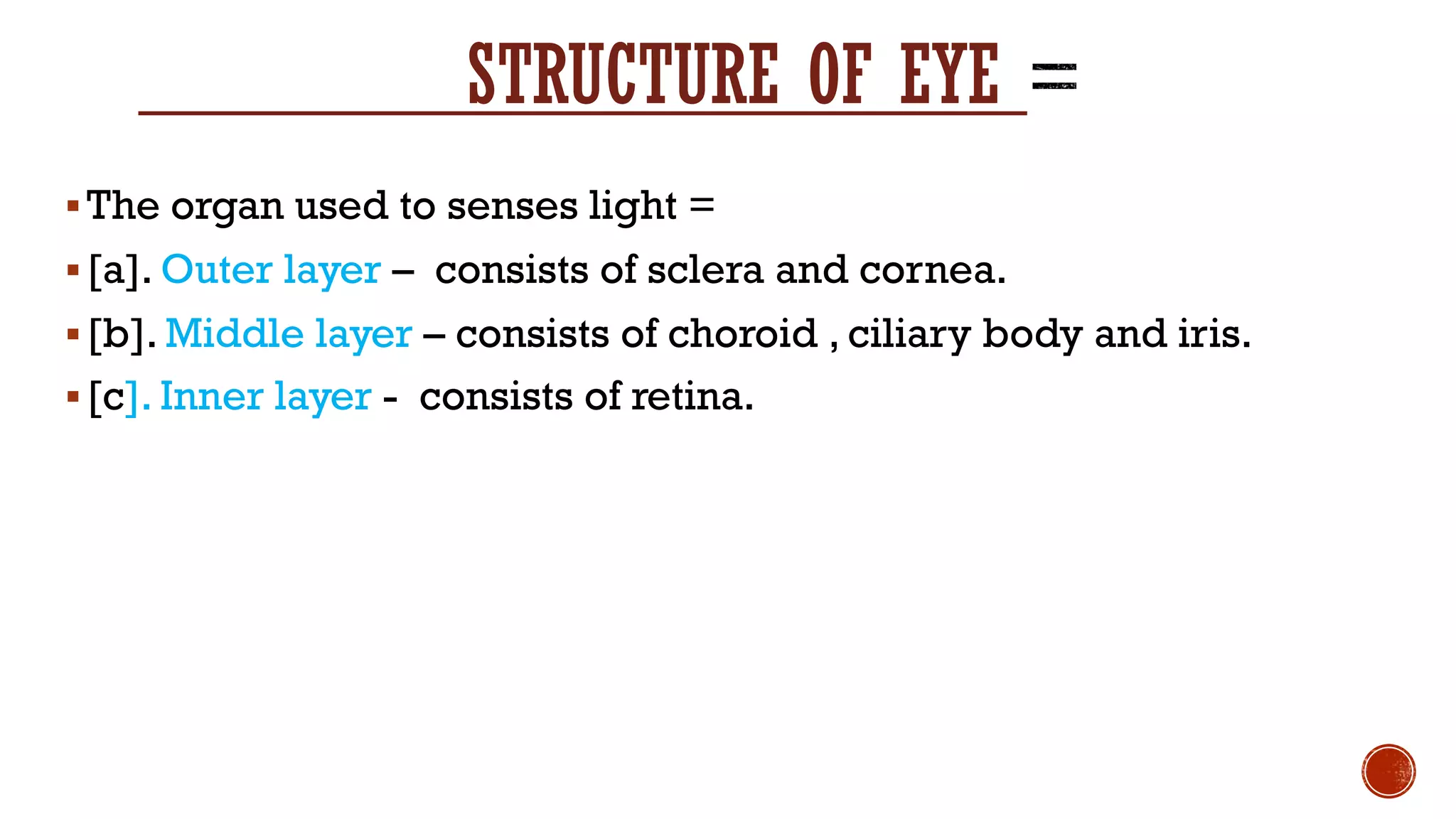 Structure of Eyes - Special Senses_ Human Anatomy & Physiology 1st | PDF