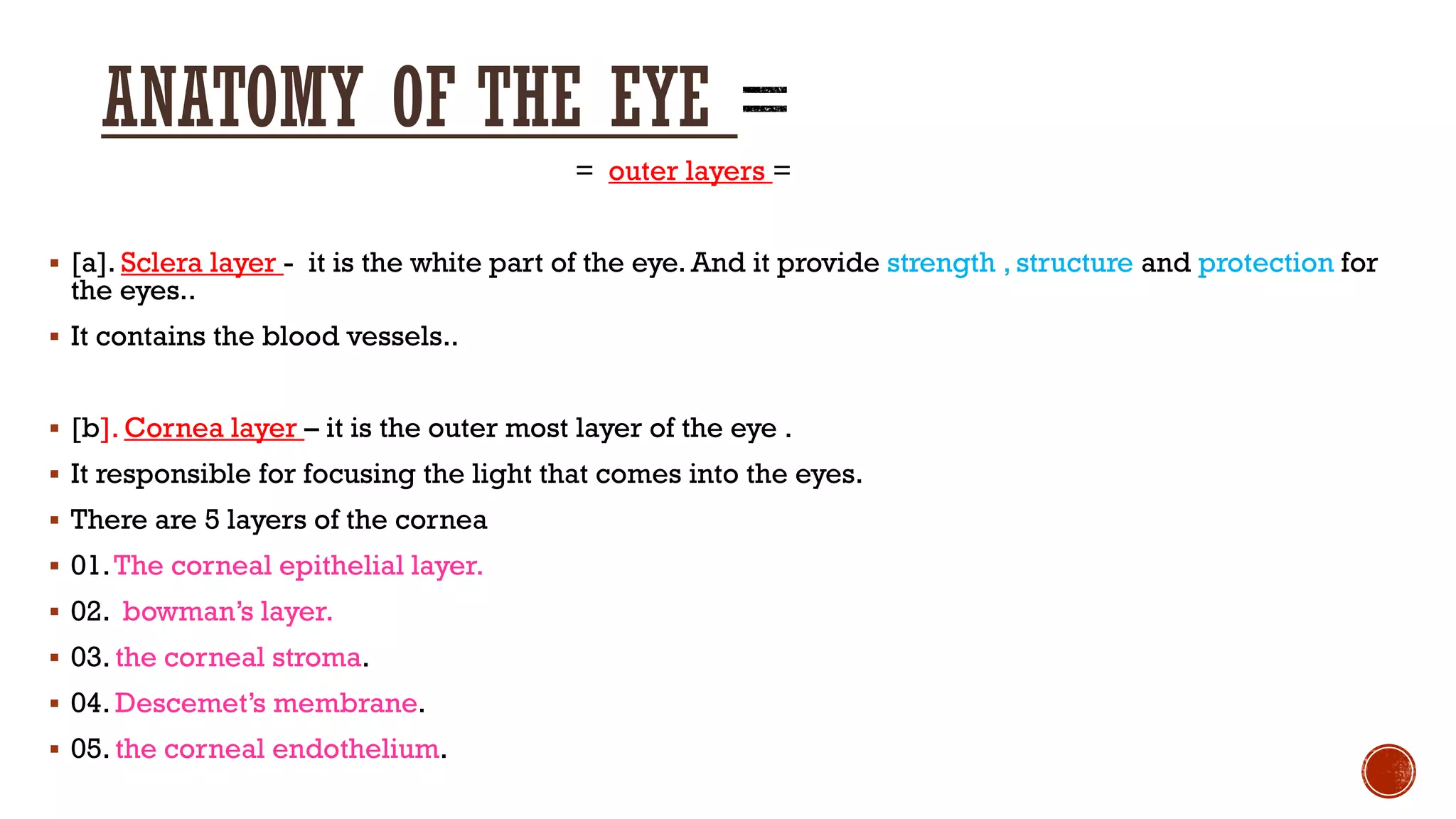 Structure of Eyes - Special Senses_ Human Anatomy & Physiology 1st ...