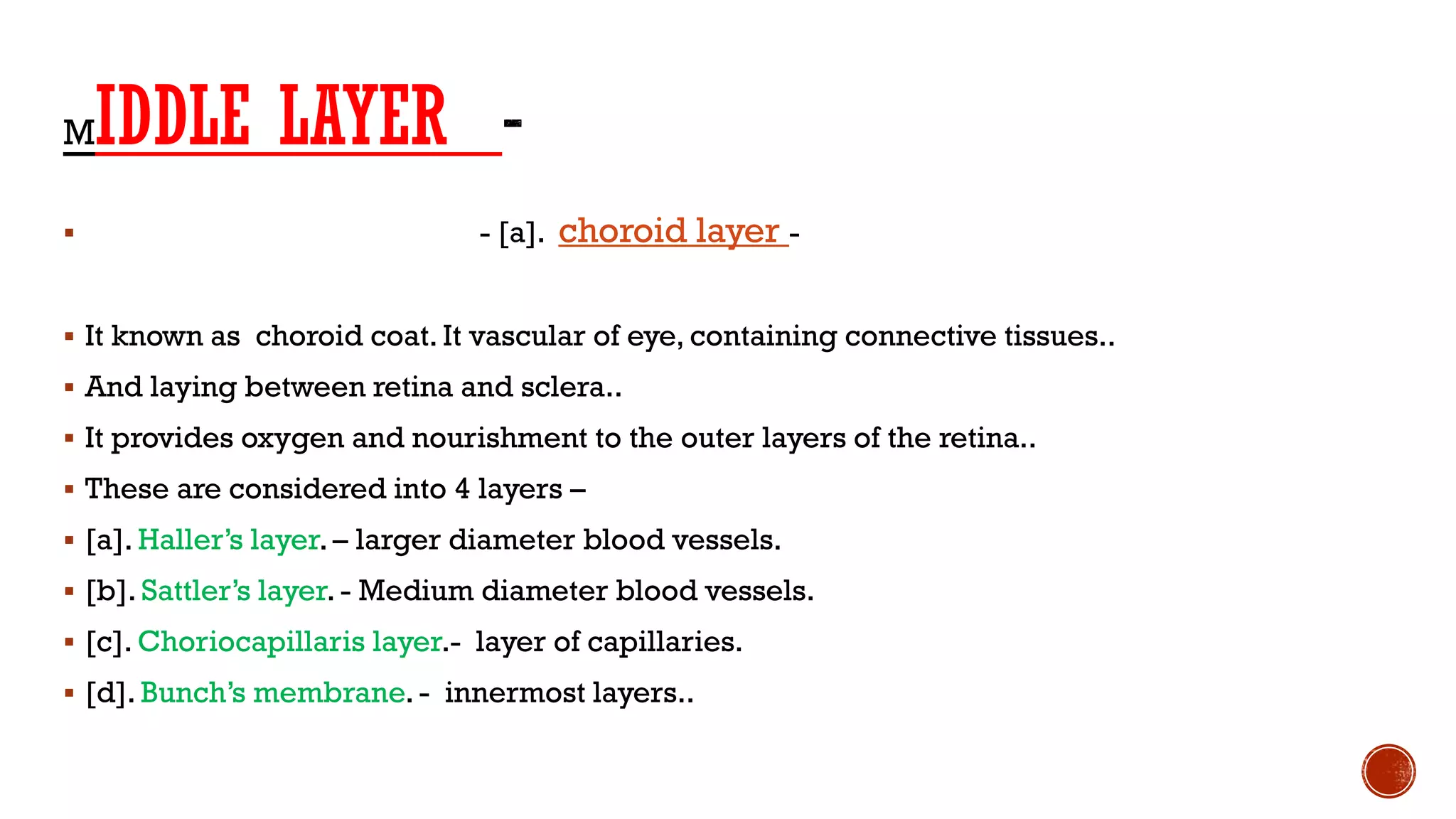 Structure of Eyes - Special Senses_ Human Anatomy & Physiology 1st | PDF