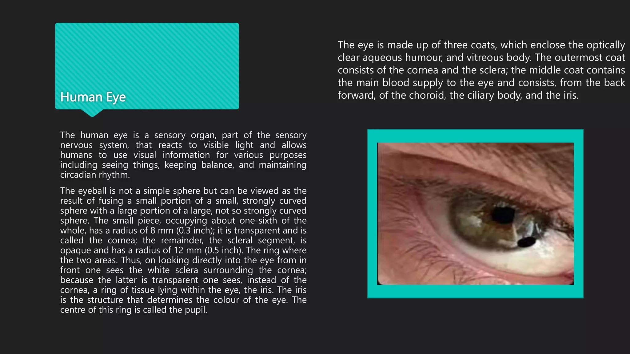 Structure Of Eyes And Its Defects.pptx