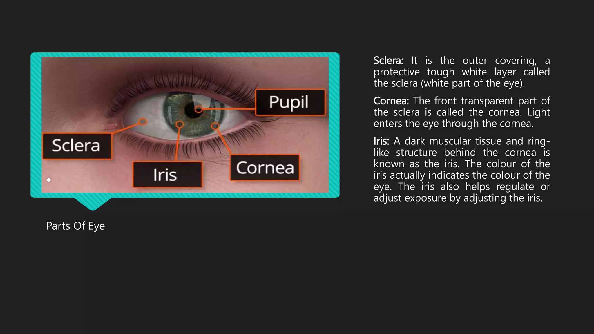 Structure Of Eyes And Its Defects.pptx