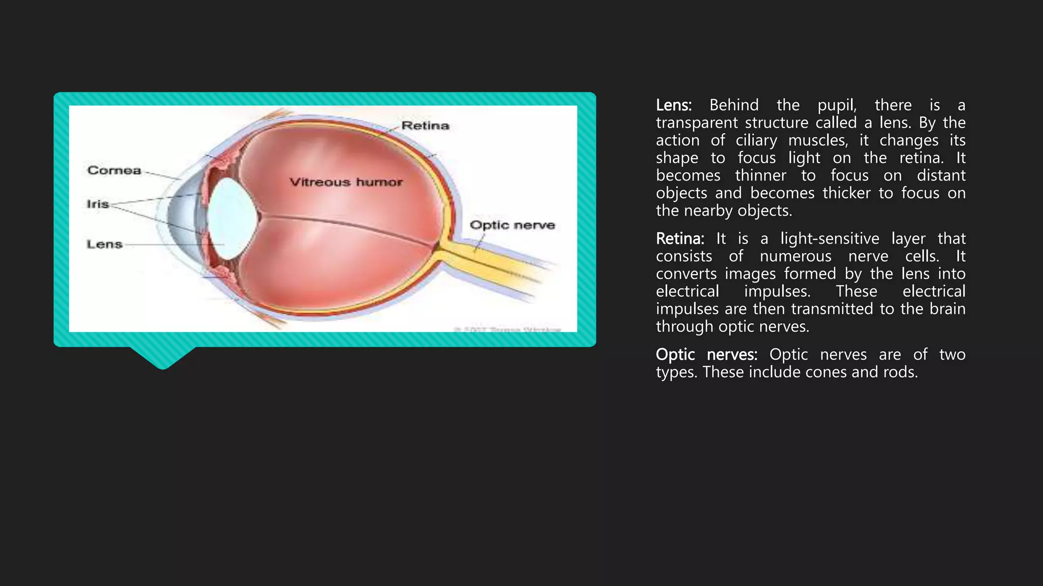 Structure Of Eyes And Its Defects.pptx