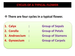 Structure of flower and development of male gametophyte | PPTX