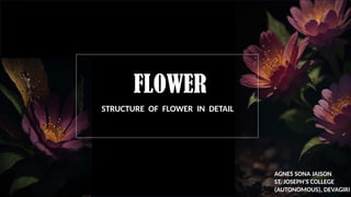 The Structure of flower in Detail ..pptx