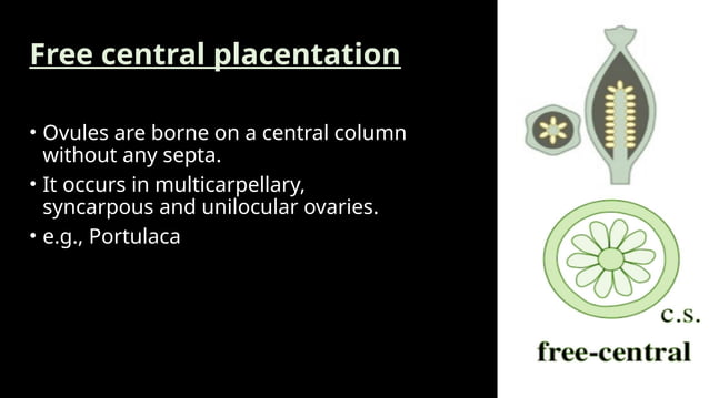The Structure of flower in Detail ..pptx