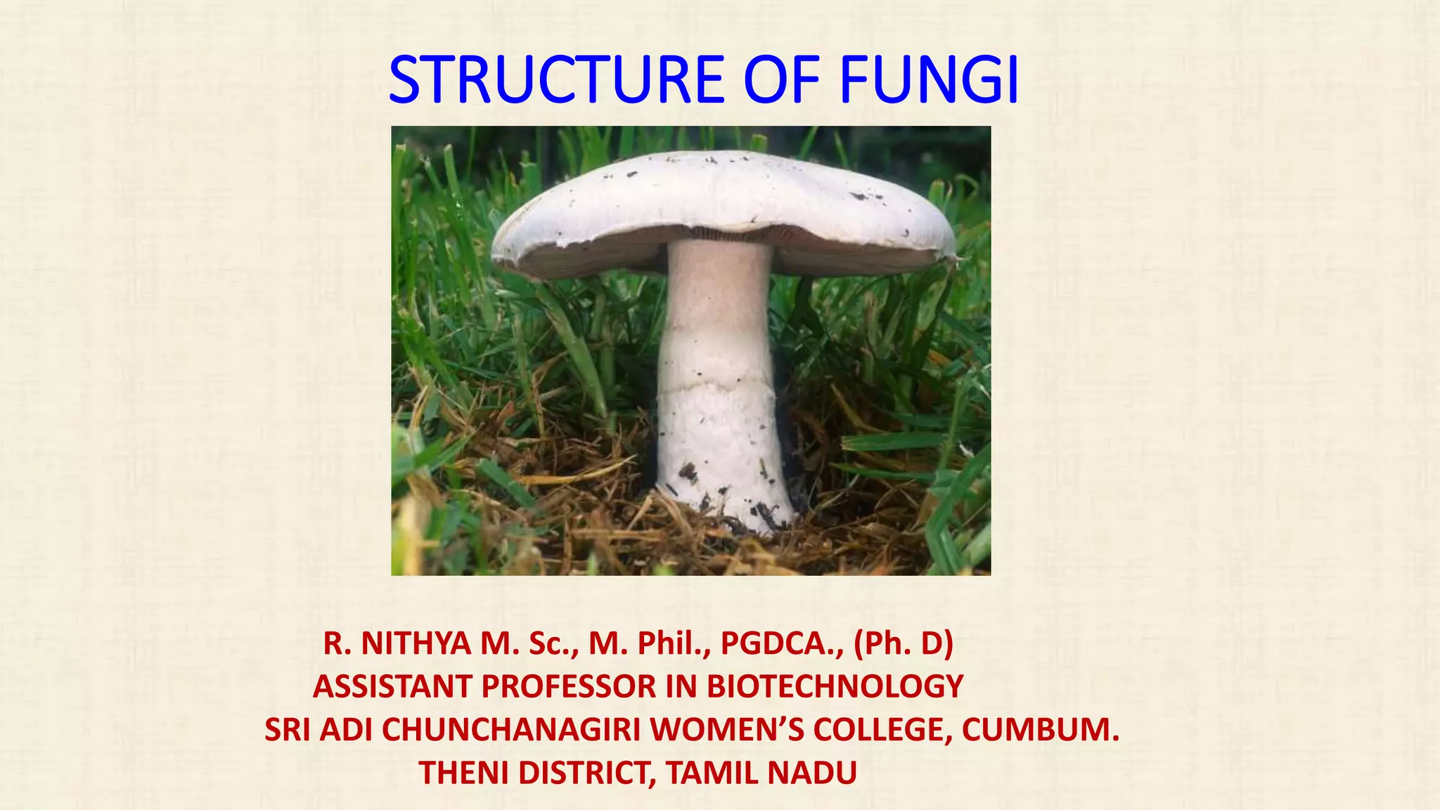 STRUCTURE OF FUNGI.pptx