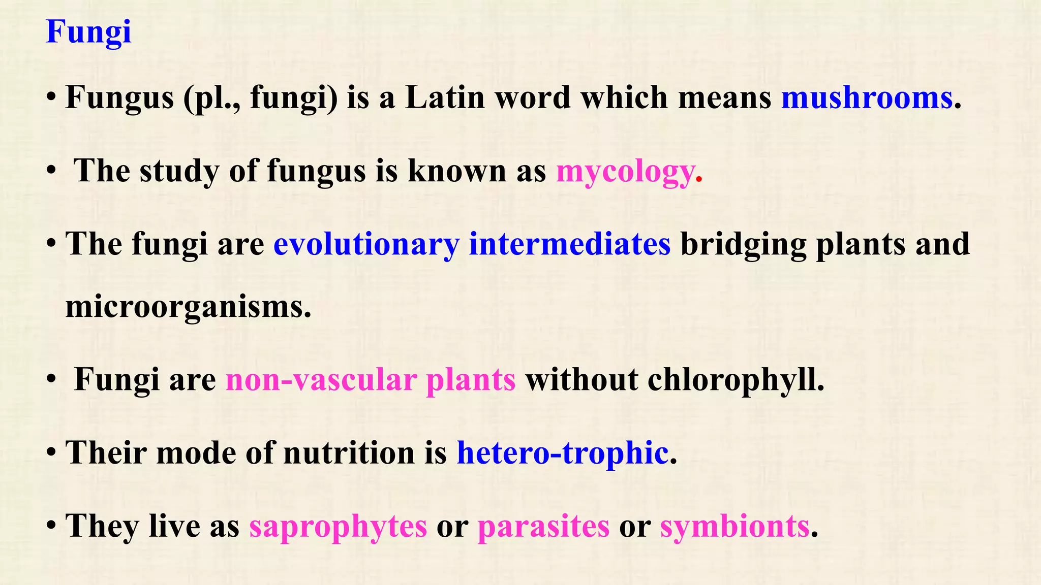 STRUCTURE OF FUNGI.pptx