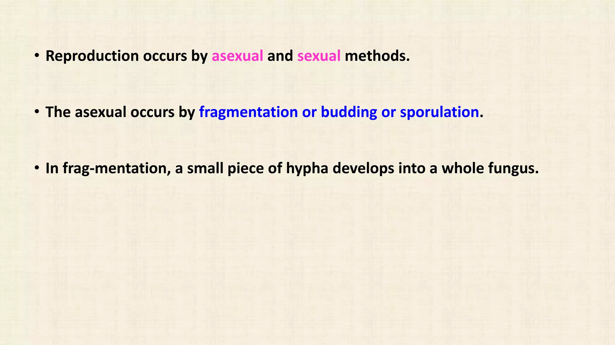 STRUCTURE OF FUNGI.pptx