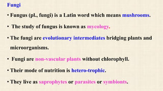 STRUCTURE OF FUNGI.pptx