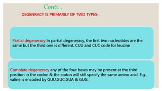 STRUCTURE OF GENE and genetic code in animals ppt | PPT