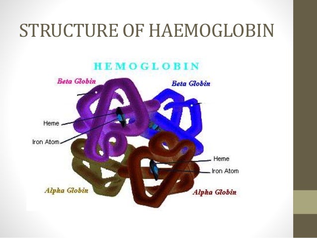 STRUCTURE OF HAEMOGLOBIN