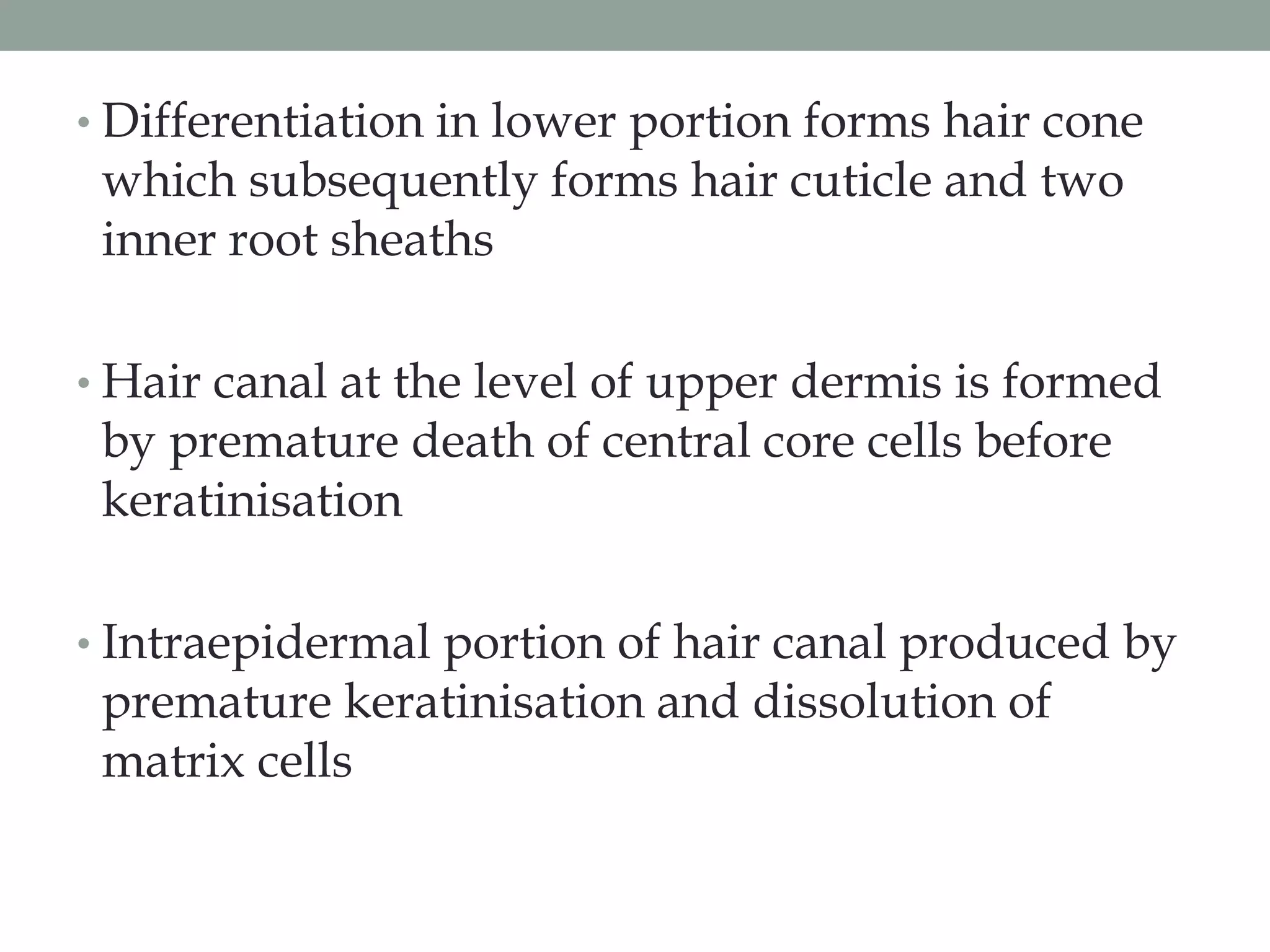 Structure of hair | PPTX