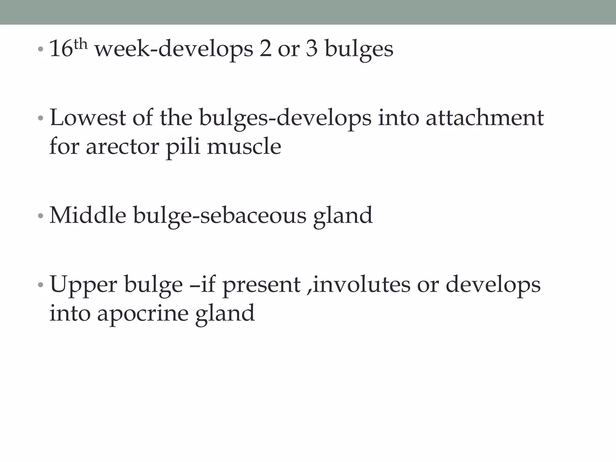 Structure of hair | PPTX