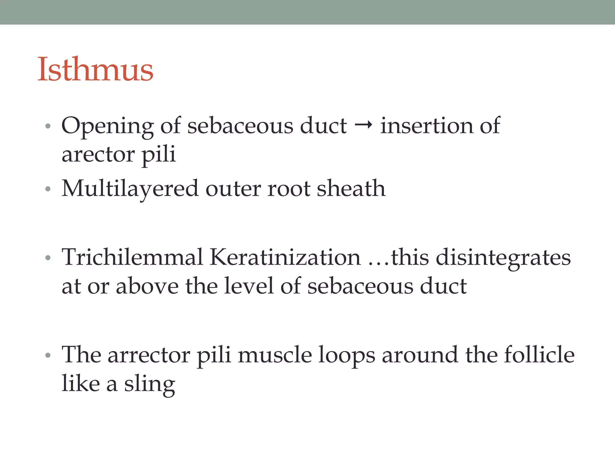 Structure of hair | PPTX