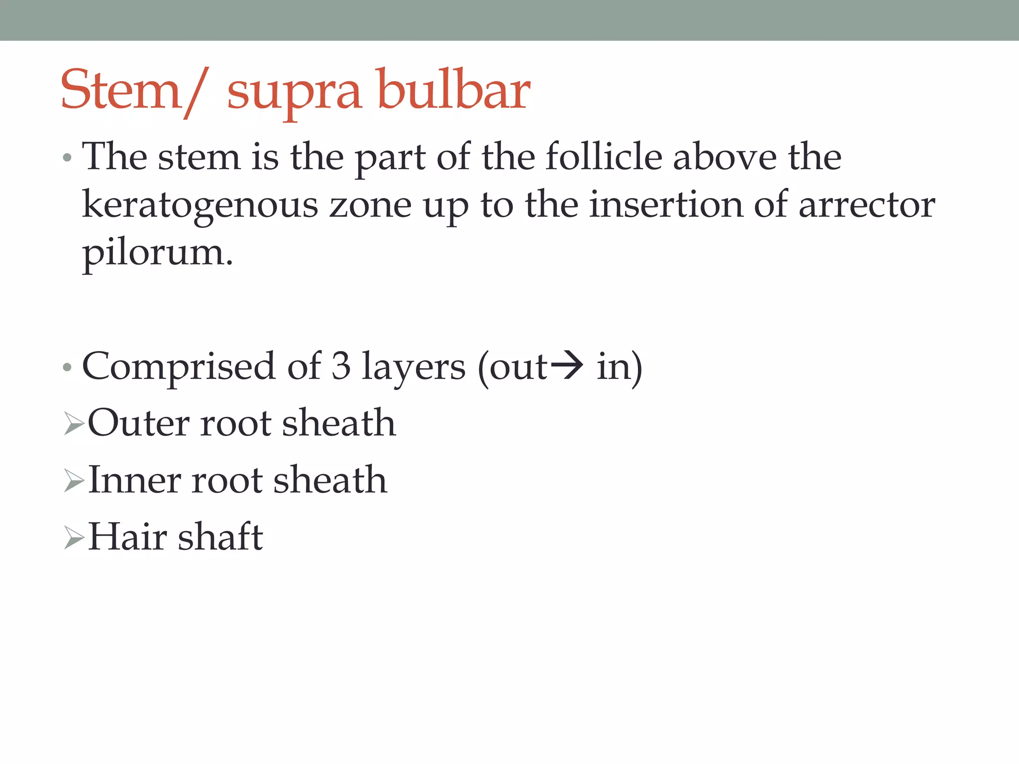 Structure of hair | PPTX
