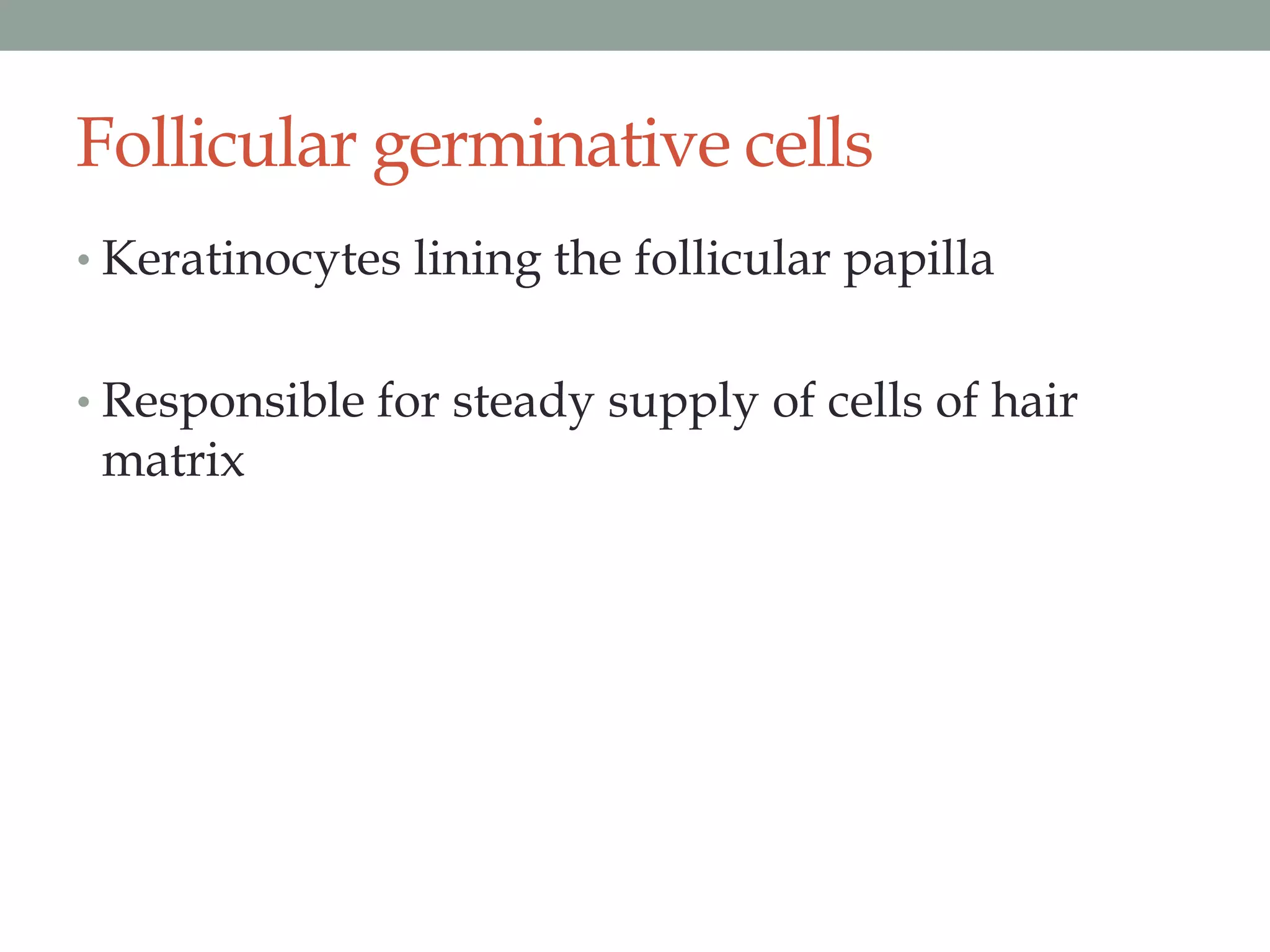 Structure of hair | PPTX