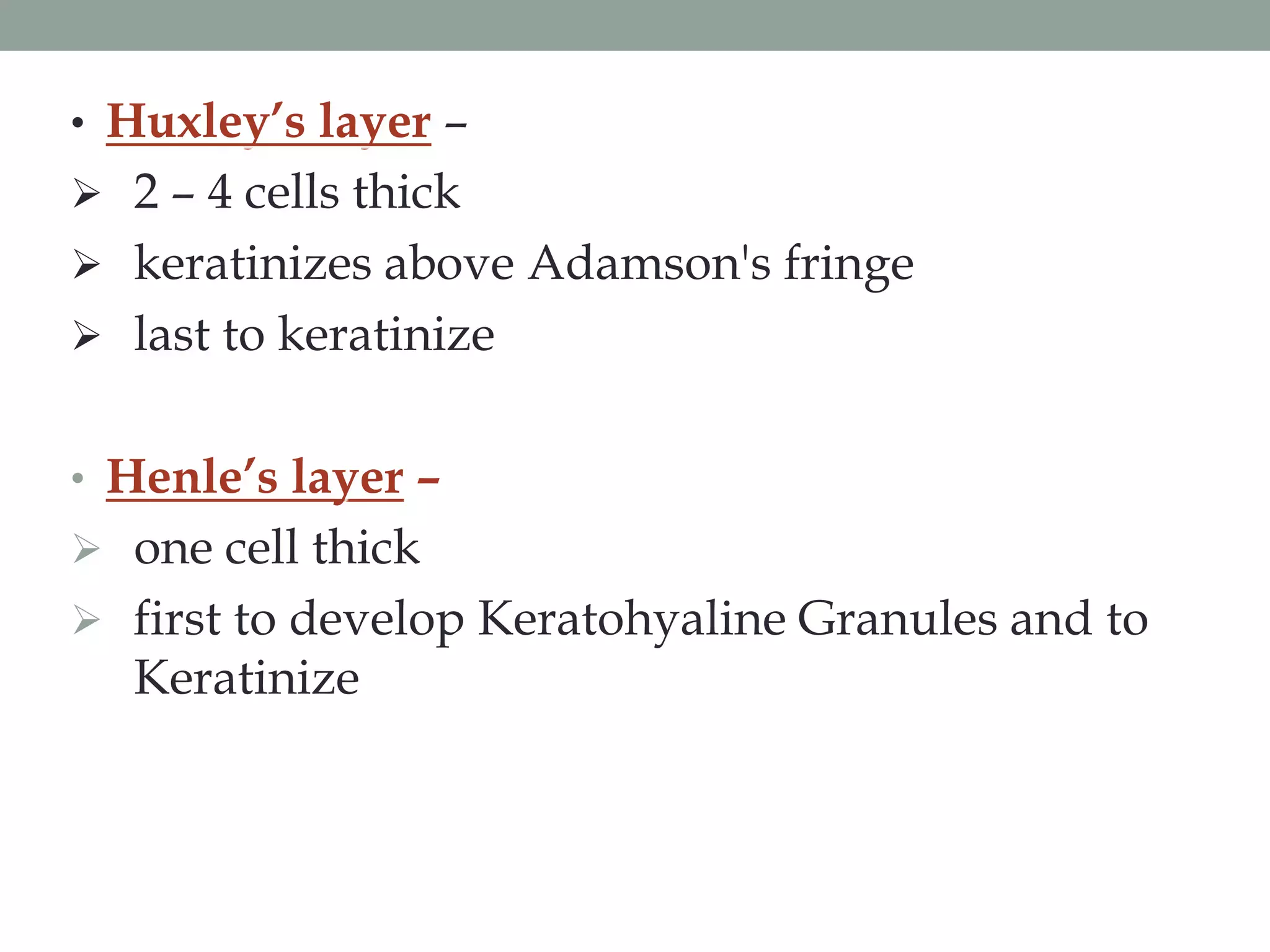 Structure of hair | PPTX