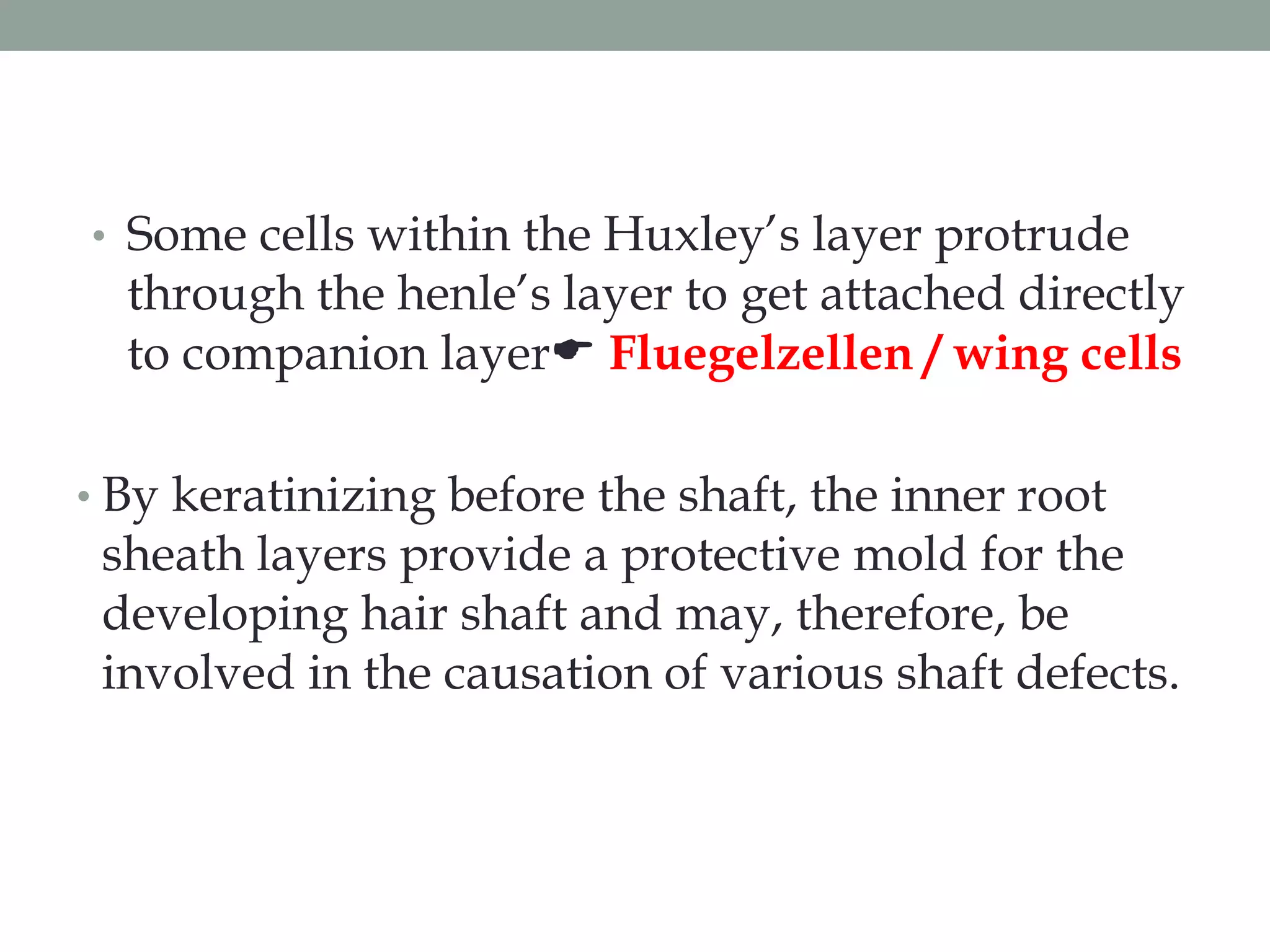 Structure of hair | PPTX