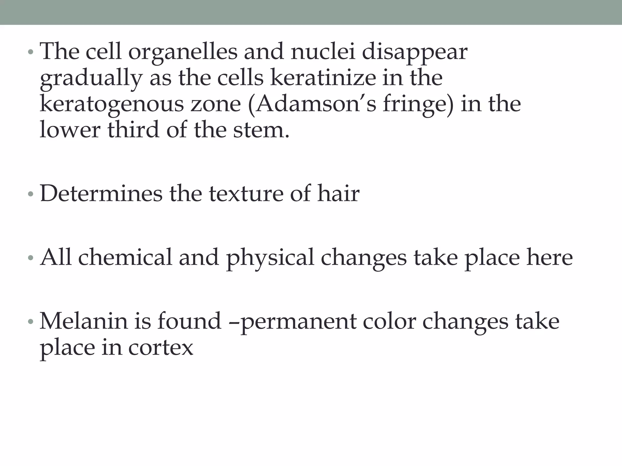Structure of hair | PPTX