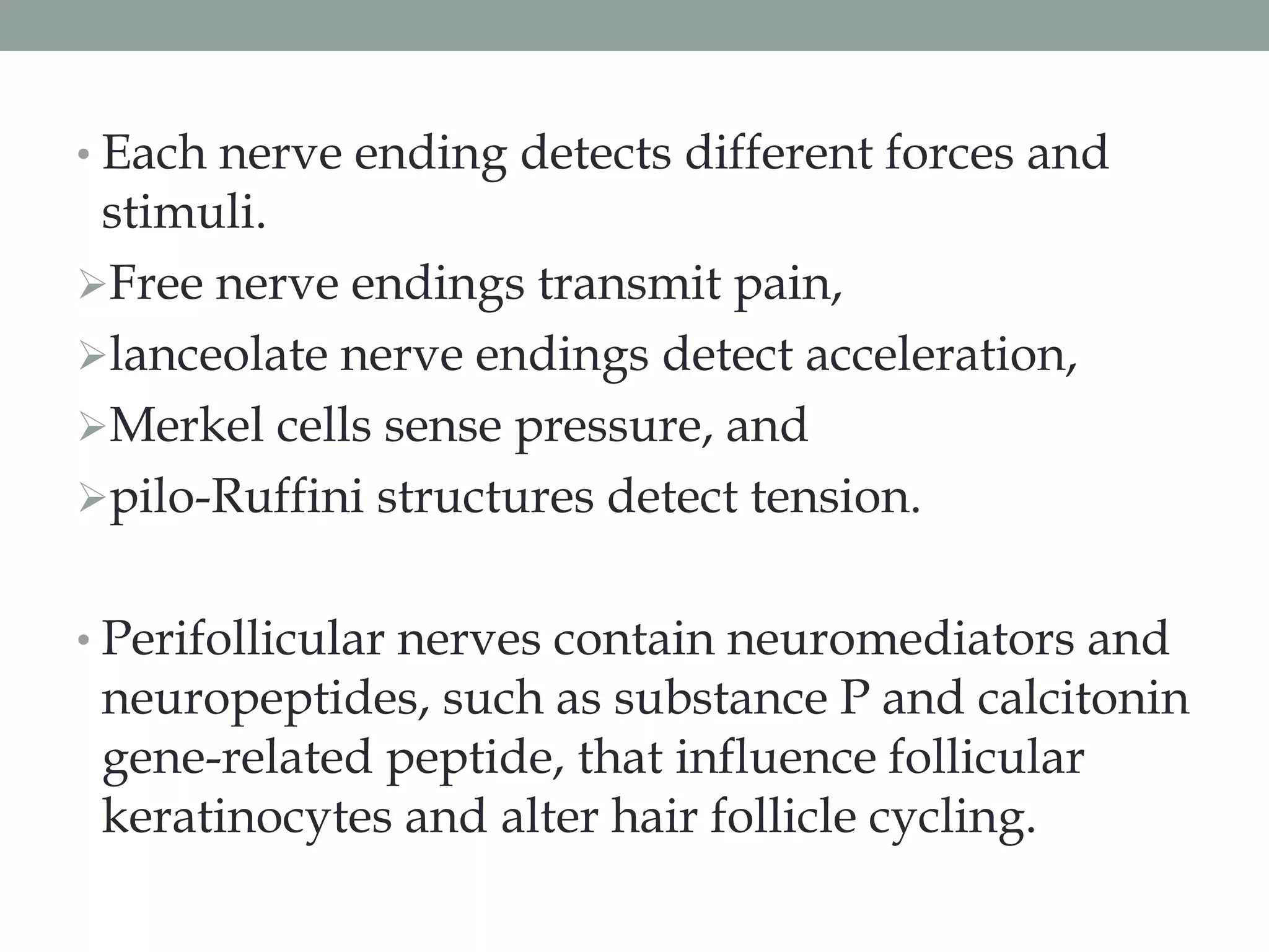 Structure of hair | PPTX