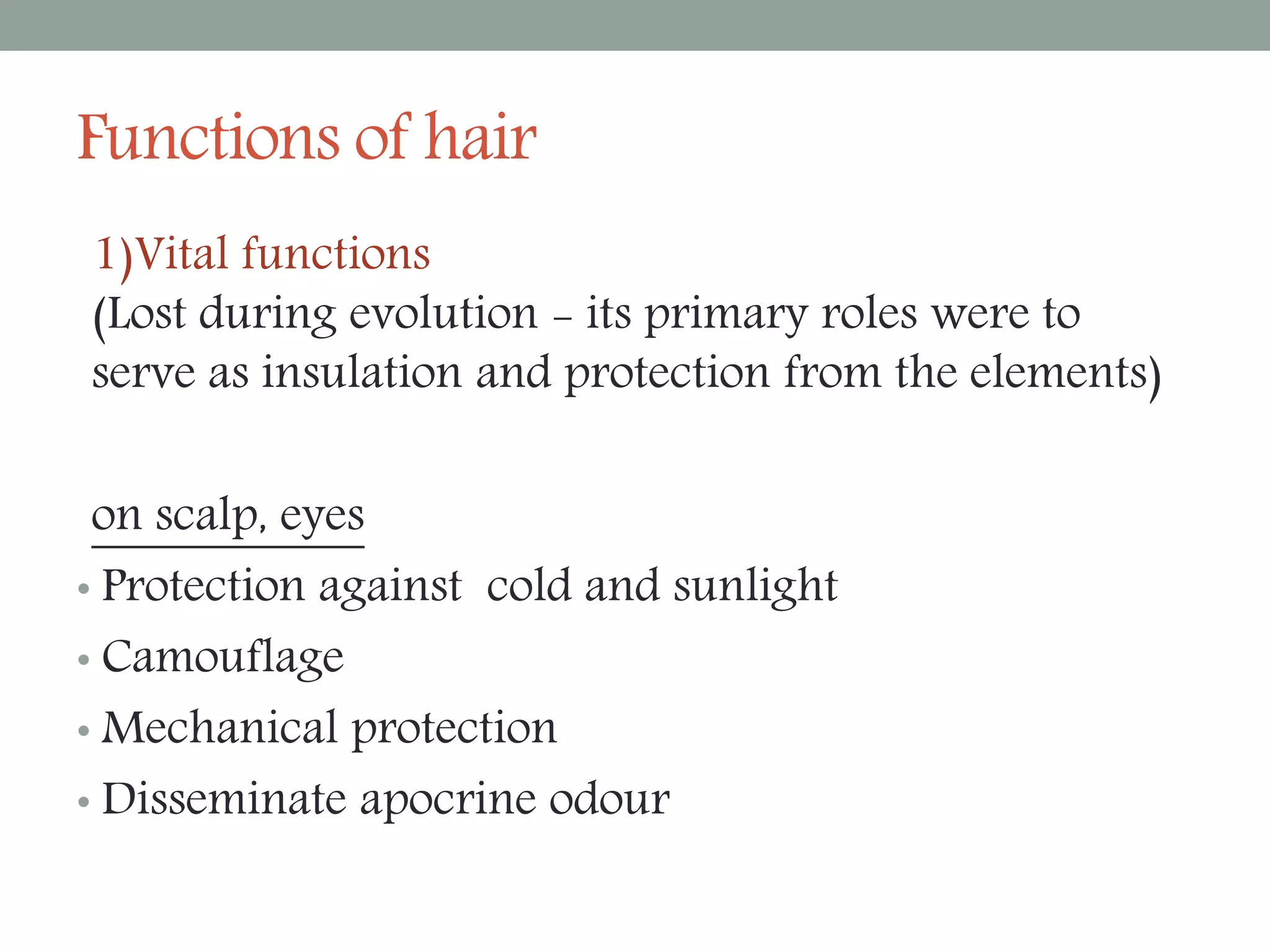 Structure of hair | PPTX