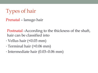 Structure of hair | PPTX