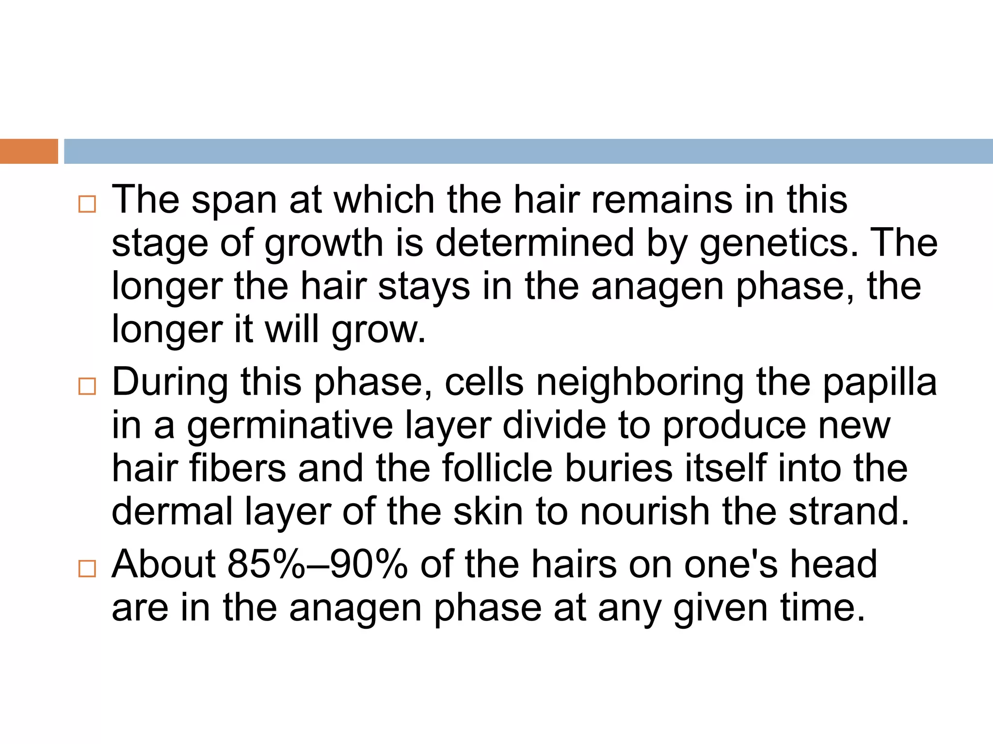 Structure of hair and hair growth cycle | PPTX