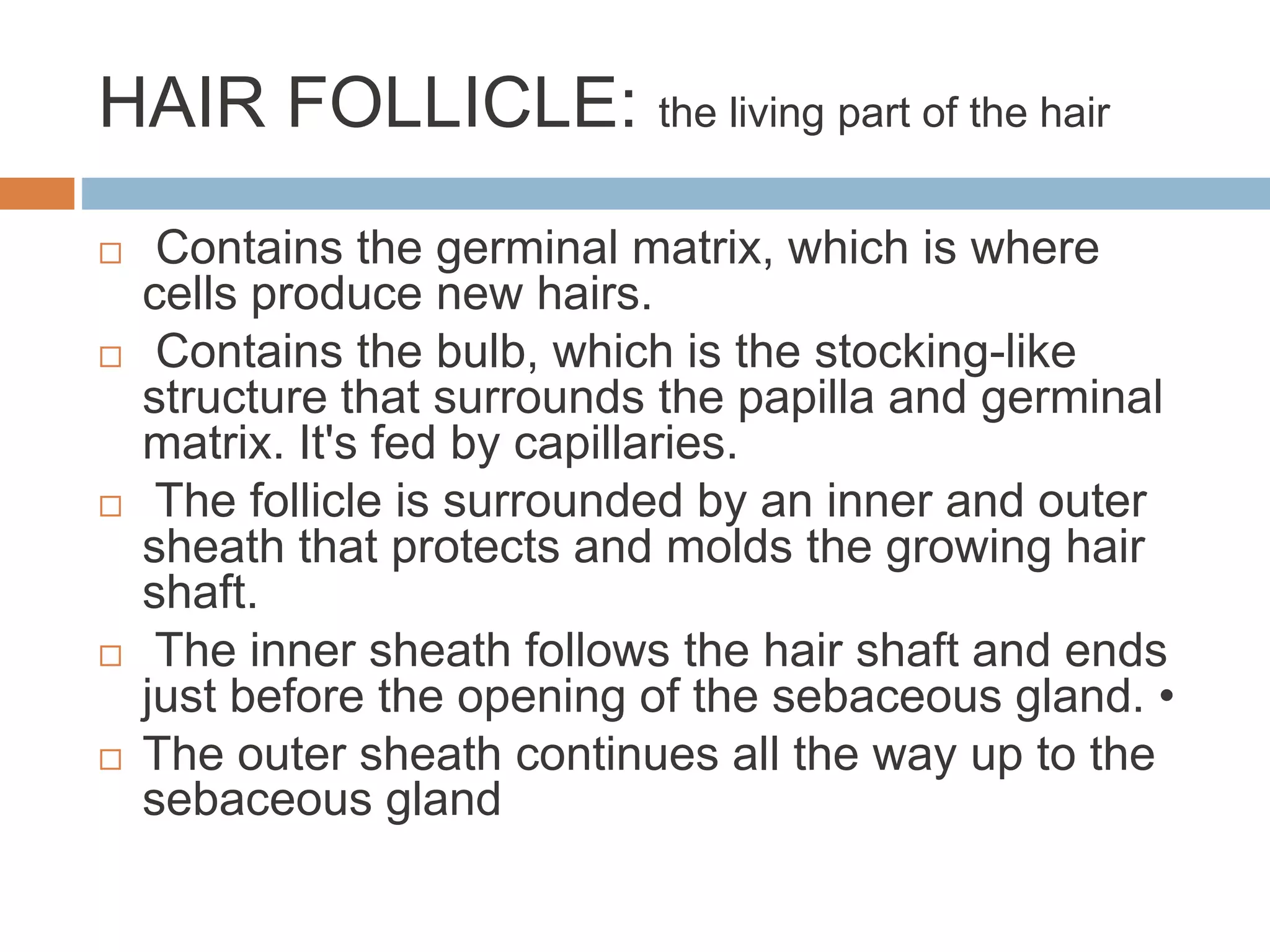 Structure of hair and hair growth cycle | PPTX