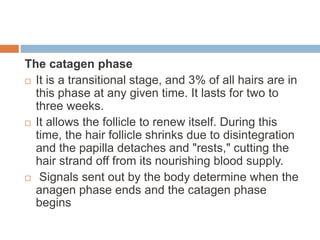 Structure of hair and hair growth cycle | PPTX