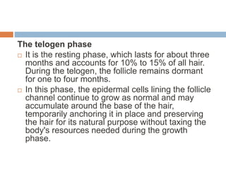 Structure of hair and hair growth cycle | PPTX