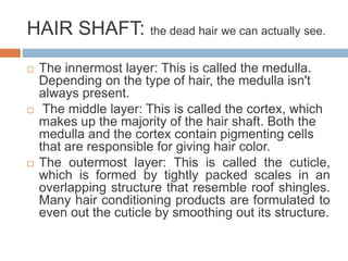 Structure of hair and hair growth cycle | PPTX