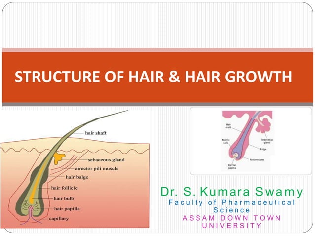 Structure of Hair & Hair Growth by Samanthula.pdf